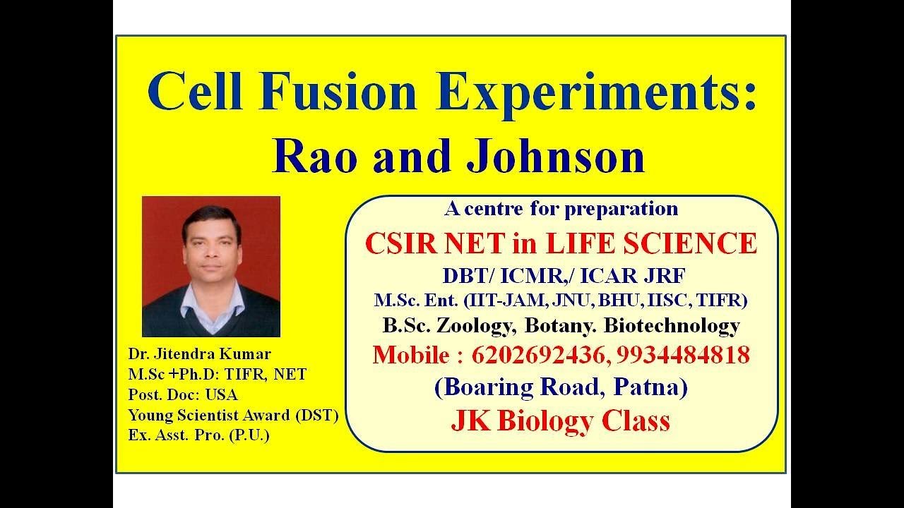 Cell Fusion Experiments of Rao and Johnson - YouTube