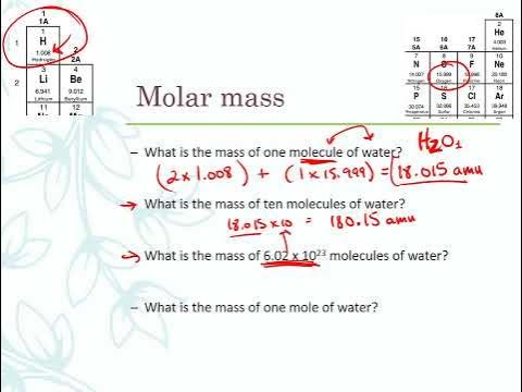 MYP Honors Chemistry Unit 2 Moles mass relative atomic mass - YouTube