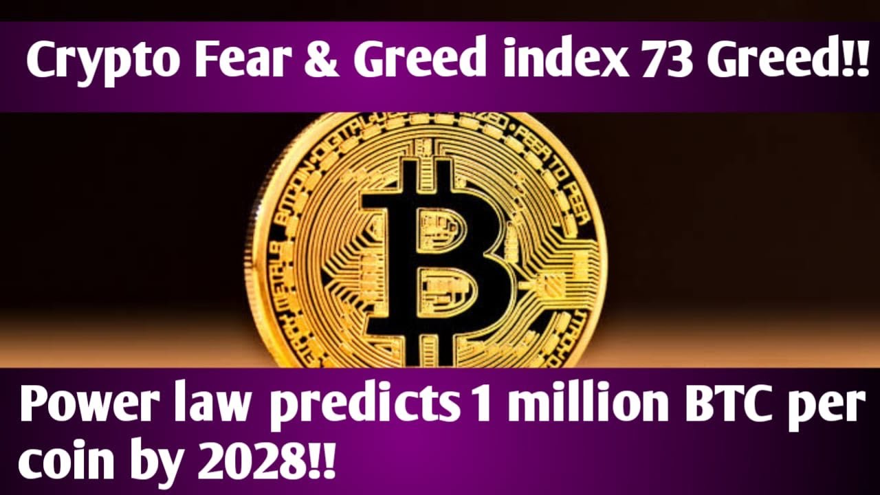 POWER LAW PREDICTS ONE MILLION PER COIN BU 2028!! - YouTube
