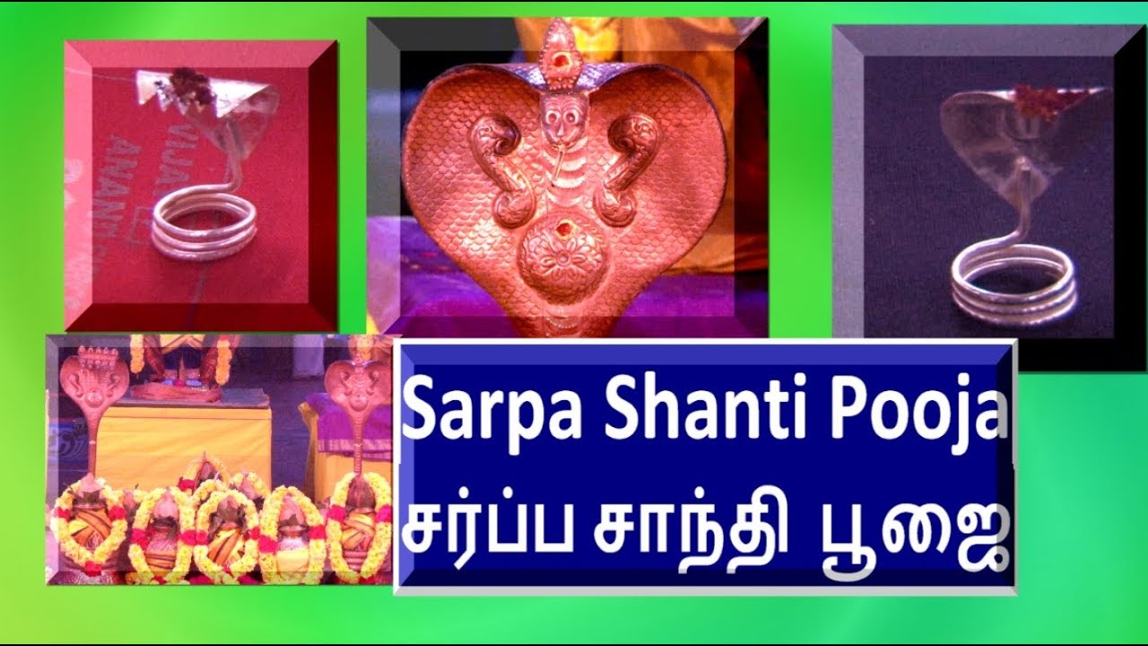 Sarpa Shanti Pooja | Ashlesha Bali Puja | சர்ப்ப சாந்தி பூஜை | Dosha ...