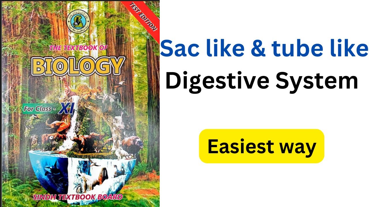 Sac Like & Tube Like Digestion|chapter 11 Holozoic Nutrition 11th class ...