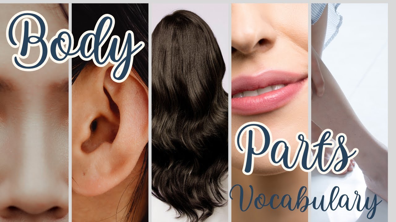 Body Parts Vocabulary (Part-2) - YouTube