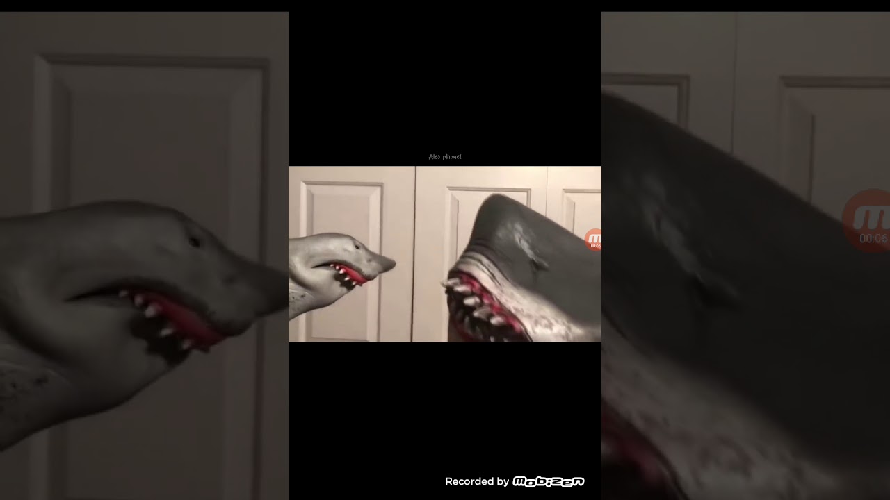 Shark puppet scream - YouTube