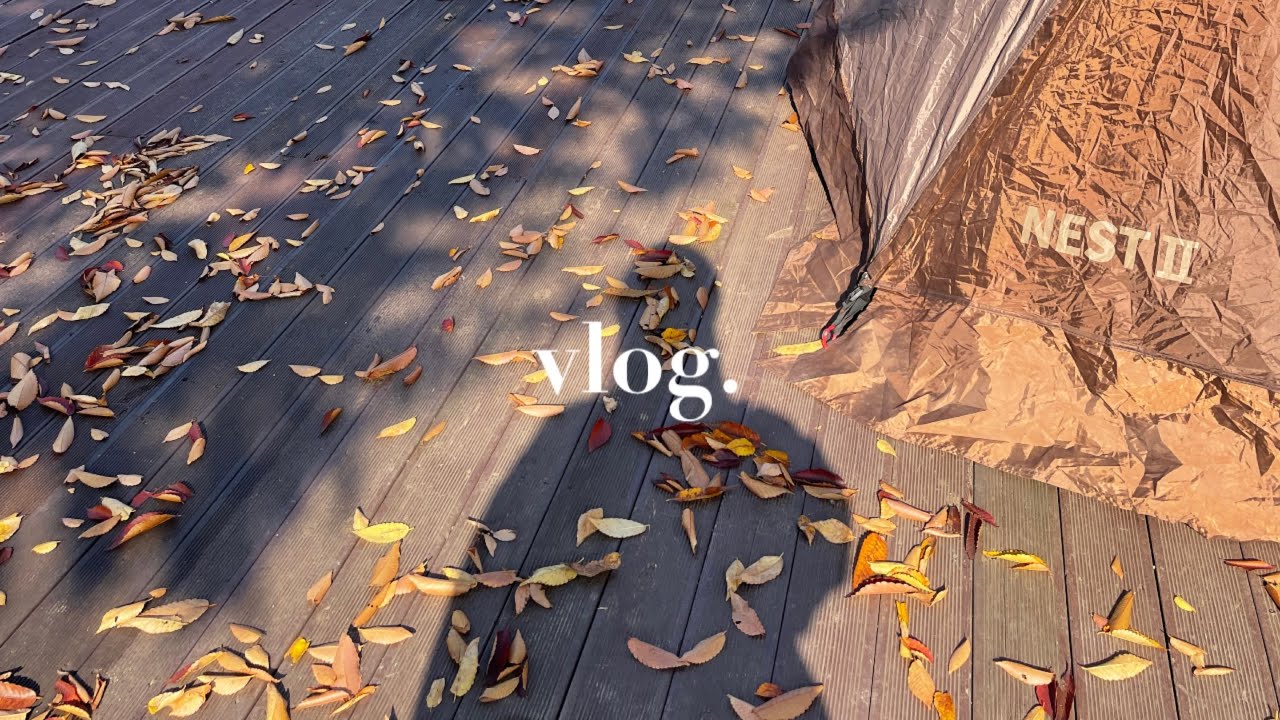 Vlog 직장인 일상 브이로그 I 1박 2일 여행 I 양평캠핑 편 I 노산팔경캠핑장 I 가을 가을해 I 10인 완전체 I