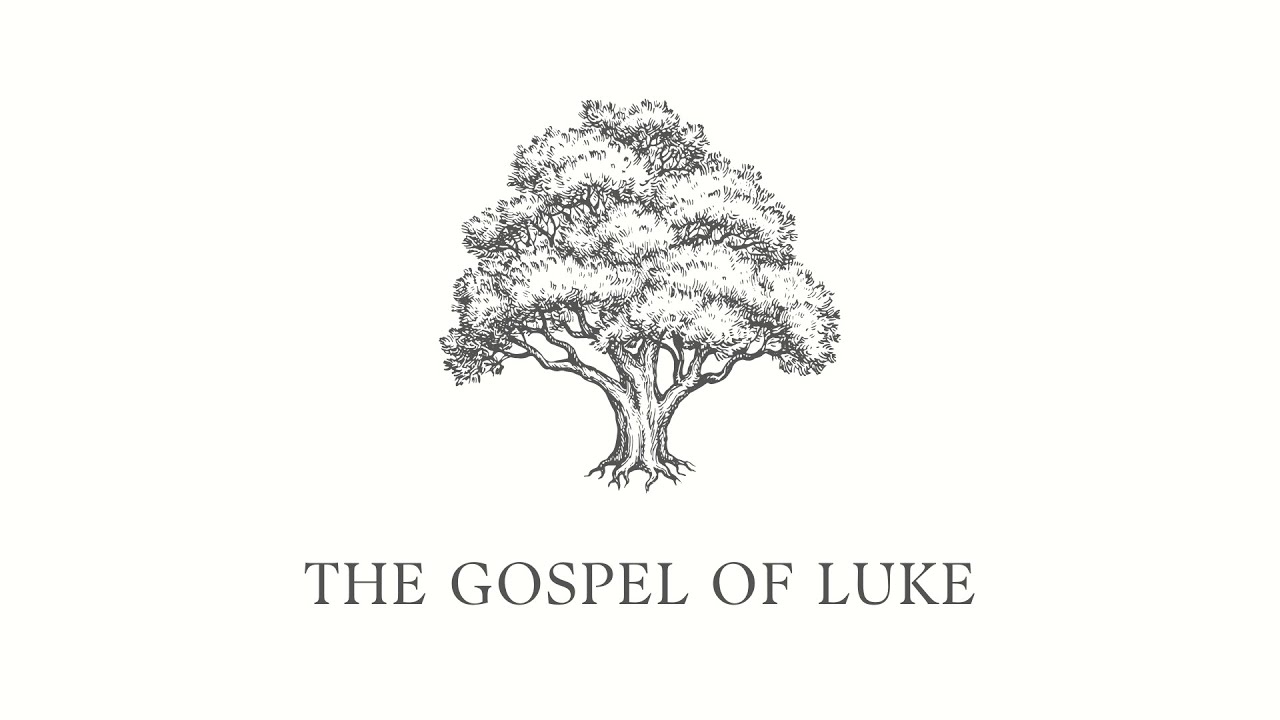 Jesus Grows in Wisdom and Stature - Luke 2:39-52 - YouTube