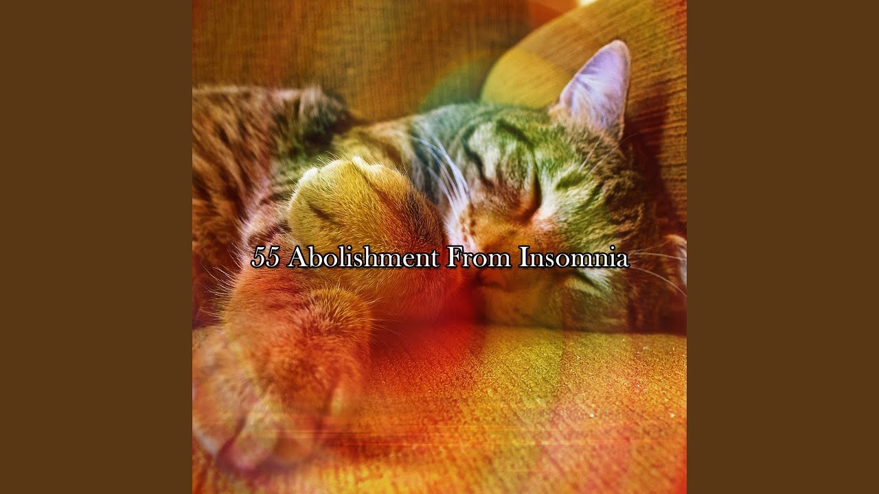 Lull Into Slumber - YouTube