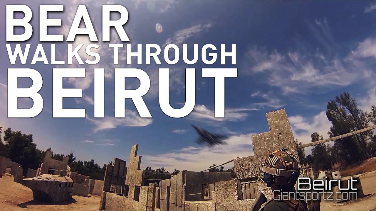 Bear walks through // Beirut // SC Village - YouTube
