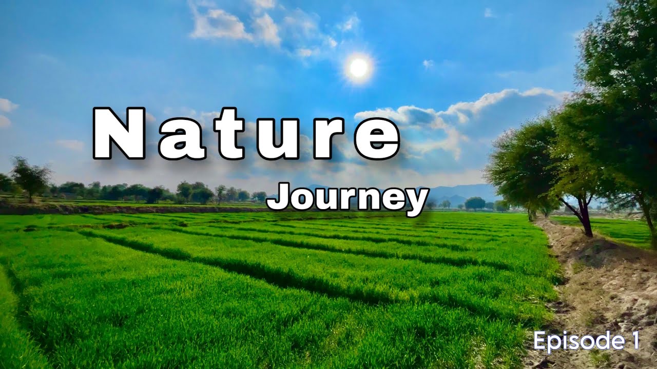 My First Nature Journey | Peaceful Green Nature 🌿 - YouTube