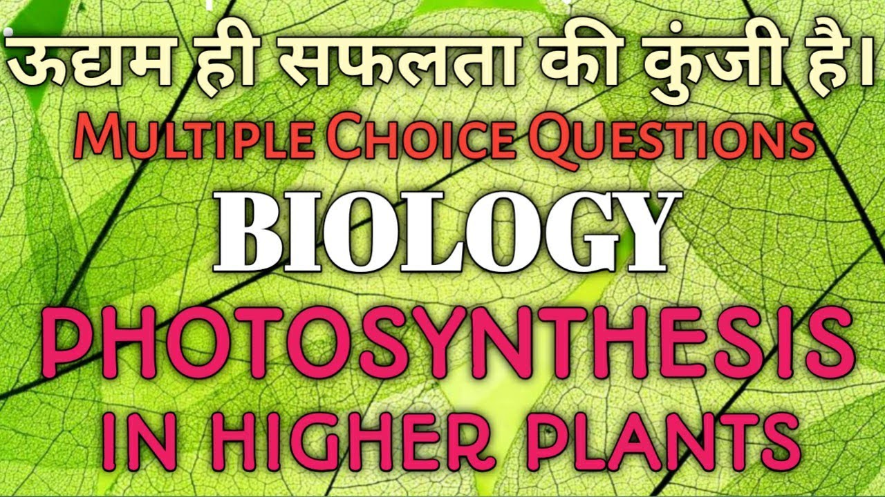 Multiple Choice Questions On Photosynthesis In Higher Plants YouTube multiple-choice-questions-on-photosynthesis-in-higher-plants-youtube