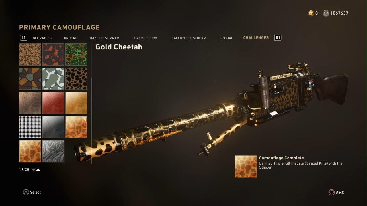 Call of Duty: WWII Multiplayer - Stinger Gold Cheetah - YouTube