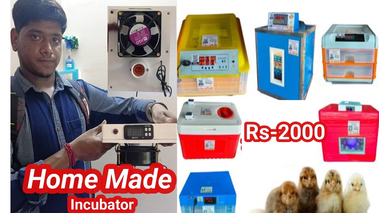 200 Eggs Incubator kit with Indian Controller | Low Price Incubator ...