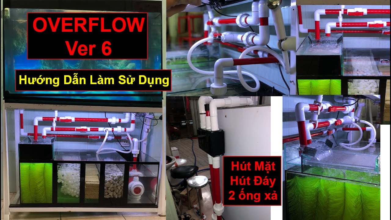 OVERFLOW V6/ Hướng Dẫn Làm Và Setup Hồ Cá Thành Lọc Tràn Dưới Không Cần ...