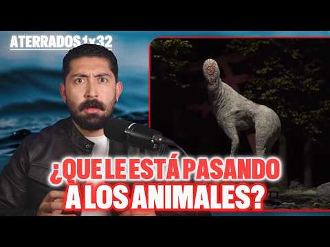 ALGO ESTÁ MAL CON LOS ANIMALES DE ESTE ZOOLOGICO | ATERRADOS 32