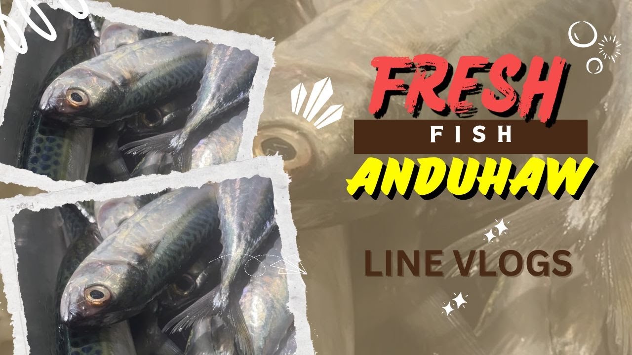 FRESH FISH ANDUHAW PHILIPPINES #fish #fresh #isda - YouTube