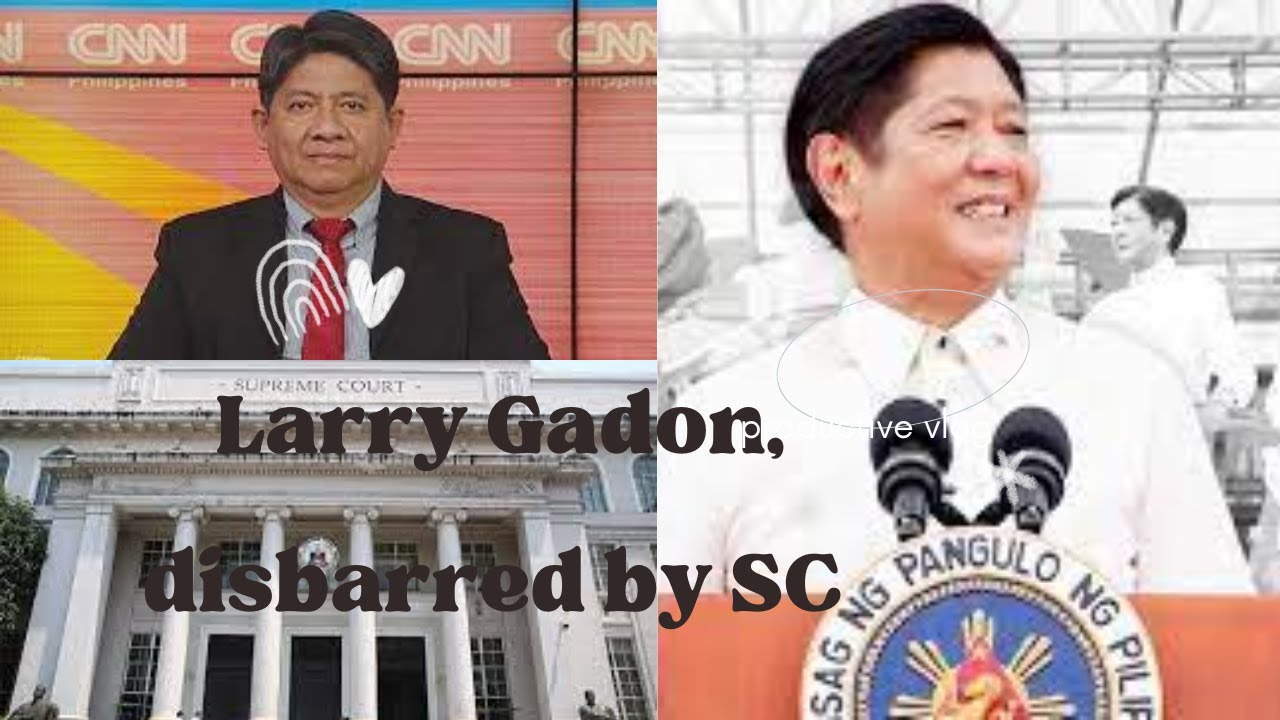 Justice Served: Disbarment of Larry Gadon for Viral Video Attack on ...