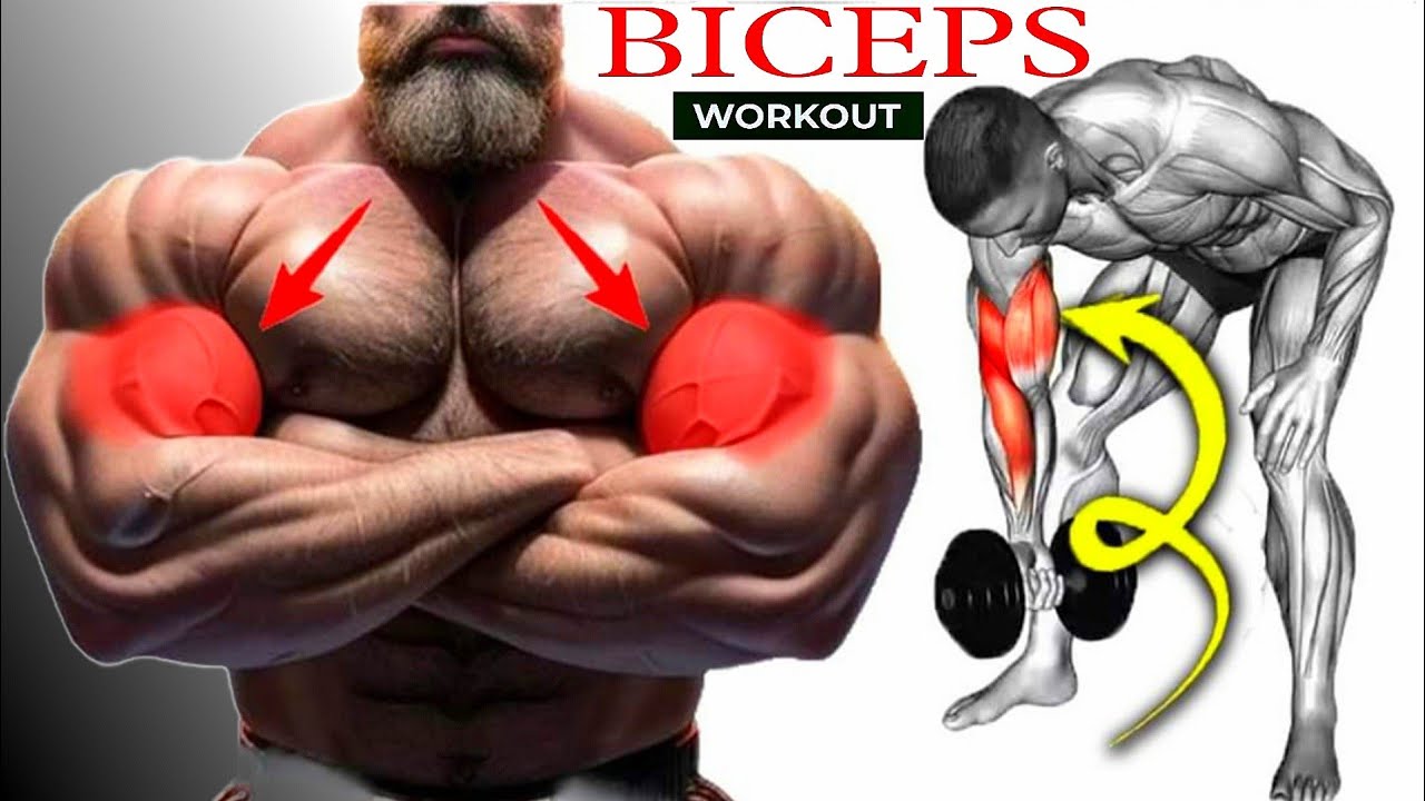 Most Effective Biceps Workout - bicep workout - YouTube
