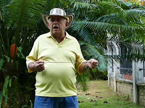 BUSCANDO GUACAS, ENTIERROS Y TESOROS 1 - YouTube