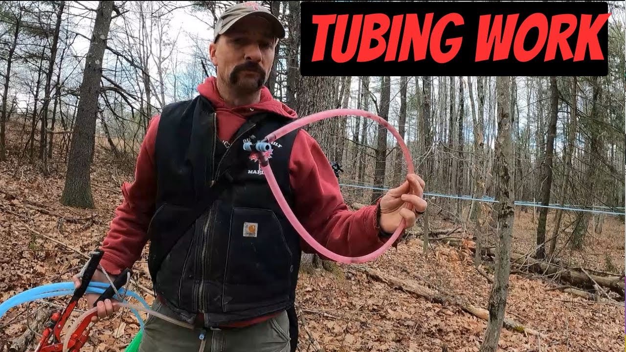 Tubing work continues for 2025 maple syrup - YouTube