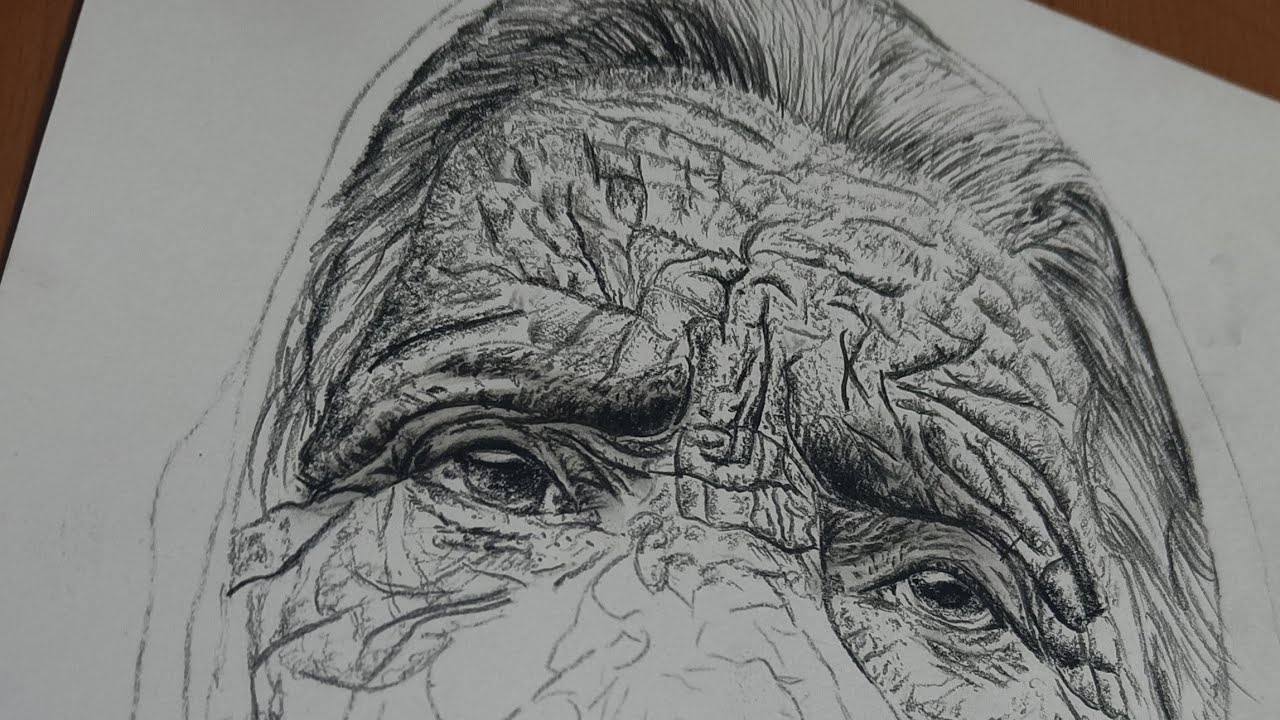 Realastic Charcoal old woman drawing part -1/ old lady potrait drawing ...