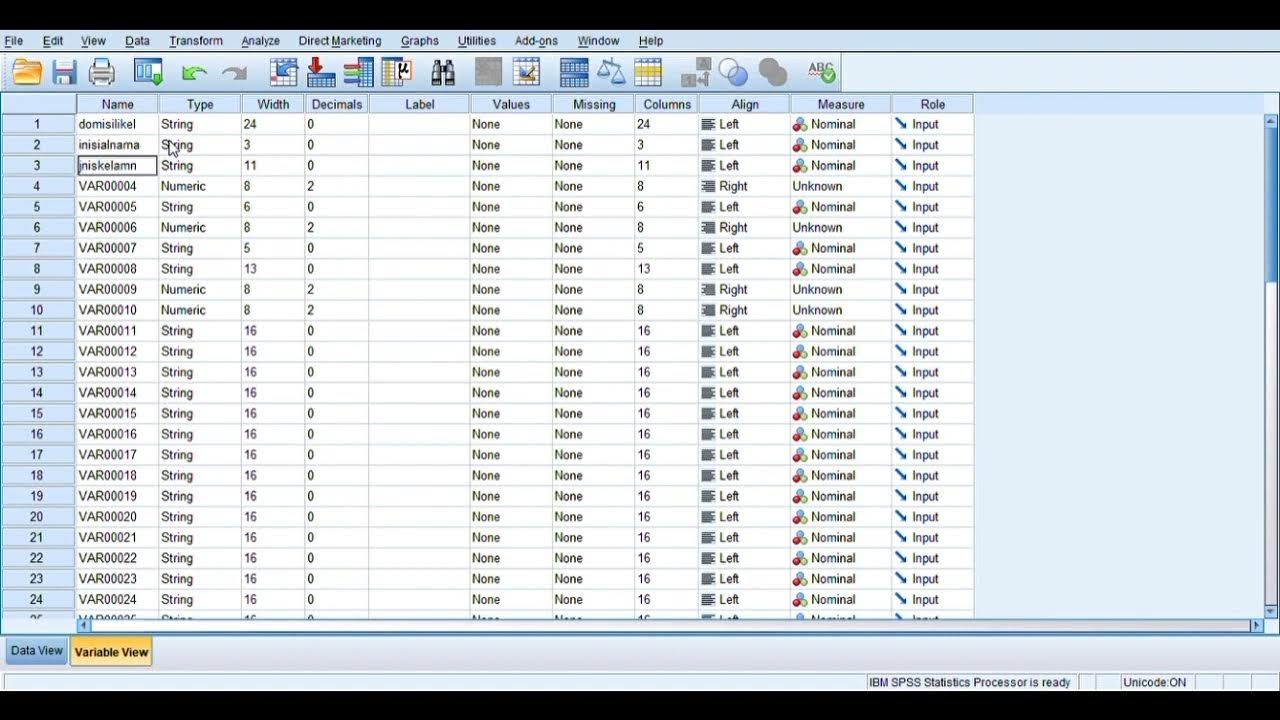 Menginput data menggunakan spss - YouTube
