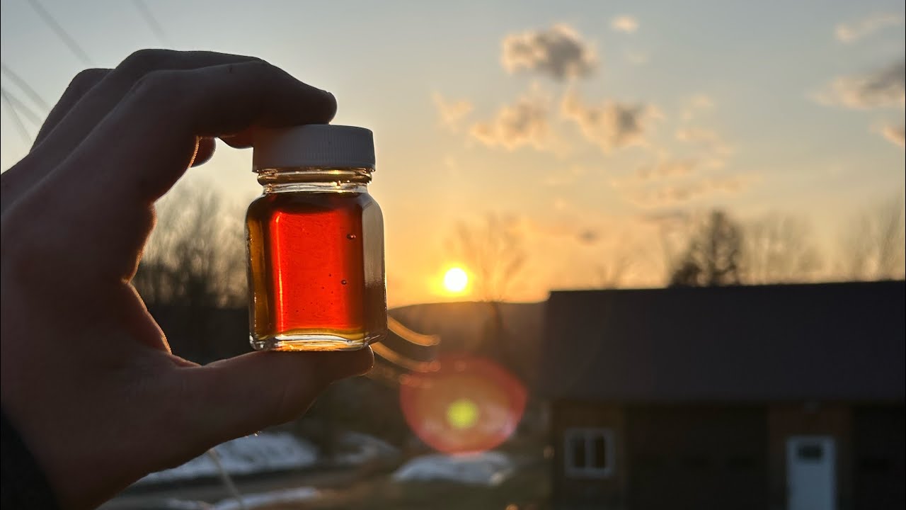 Gathering sap and finishing syrup! - YouTube