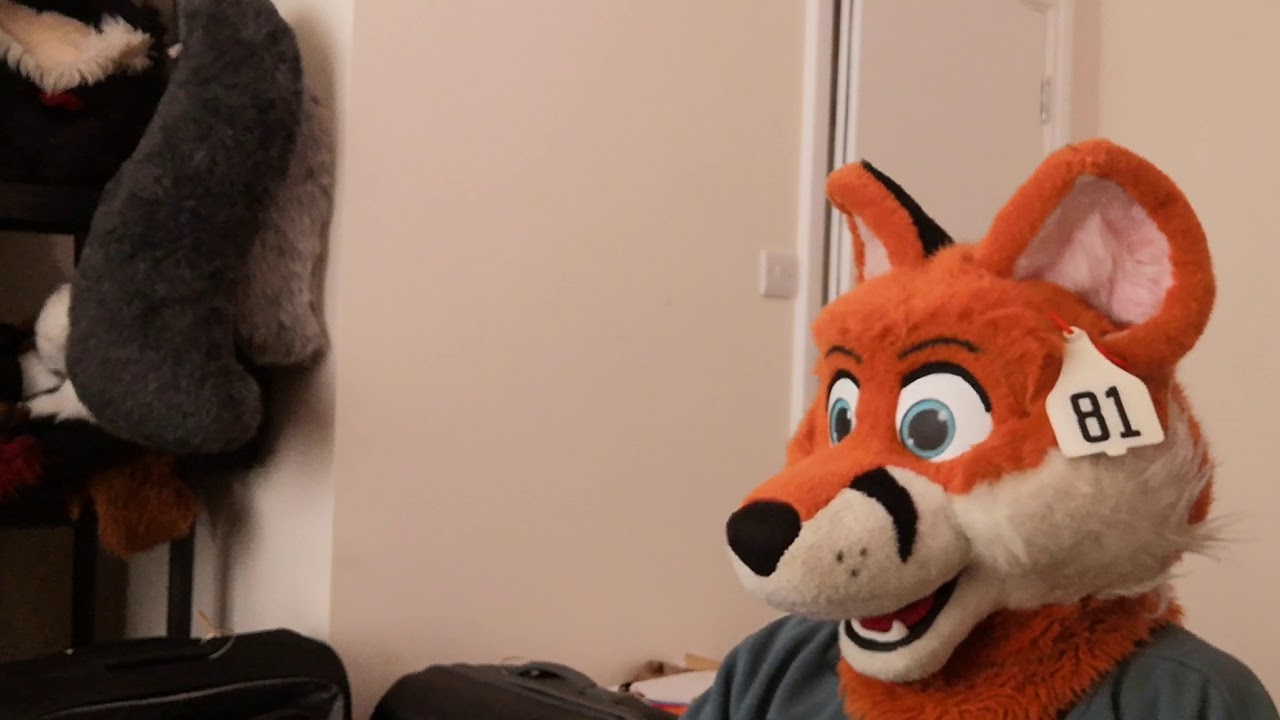 Mental Health Self Care For Furries, Others In Crisis - YouTube