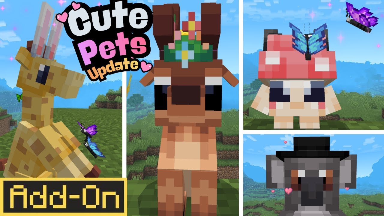 Cute Pets Update v1.2 is ADORABLE! 🐨🦒🐊 NEW Pets & 34 Cosmetics! - YouTube