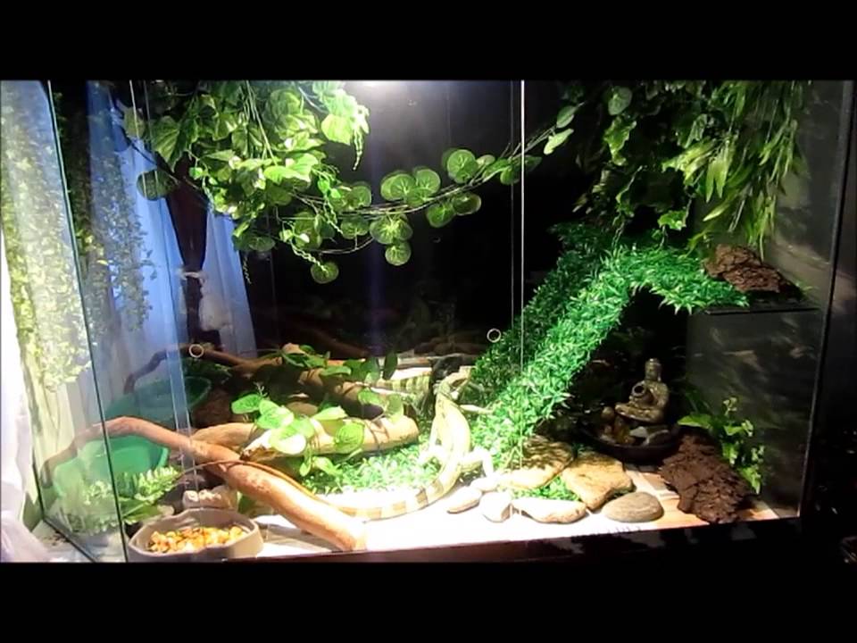 TERRARIO PARA REPTIL - YouTube