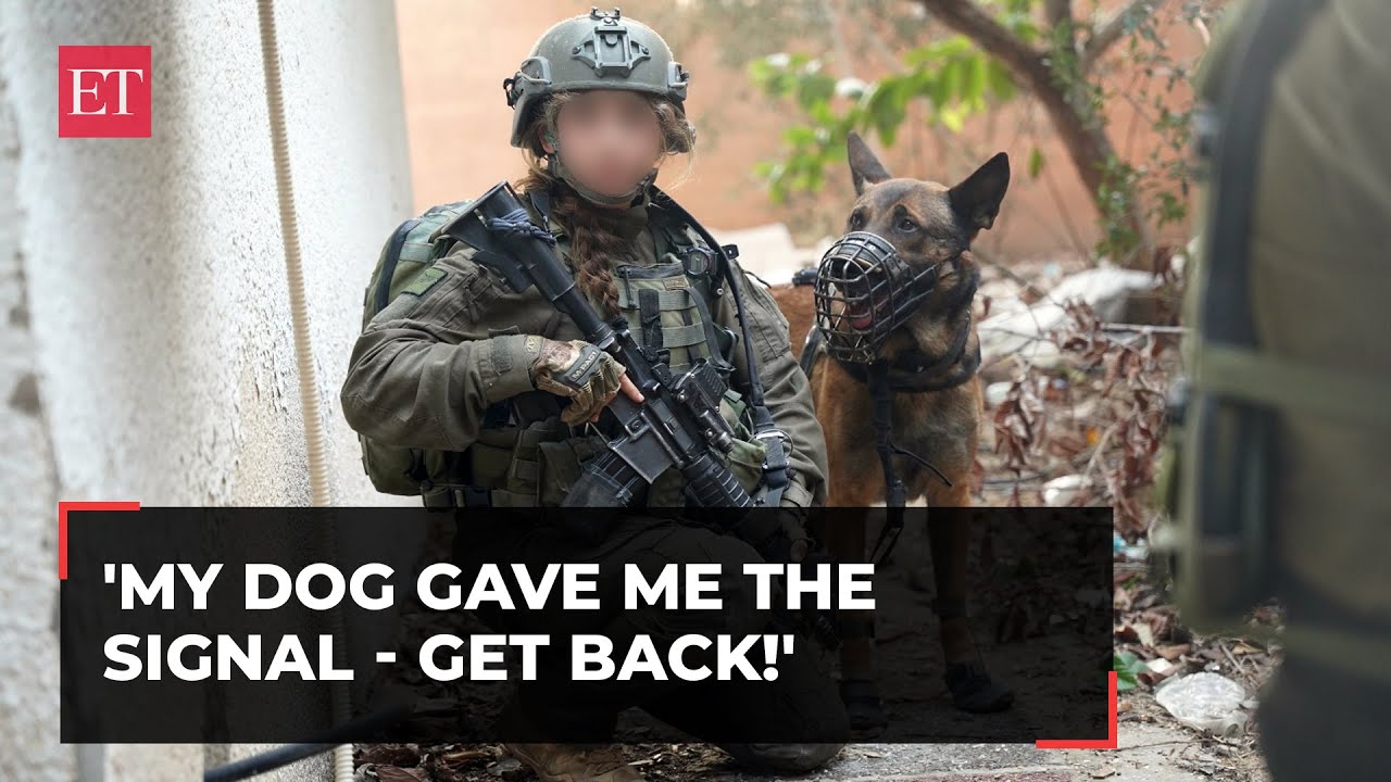 Israel-Hamas War: How dogs helped IDF troops uncover explosive devices ...