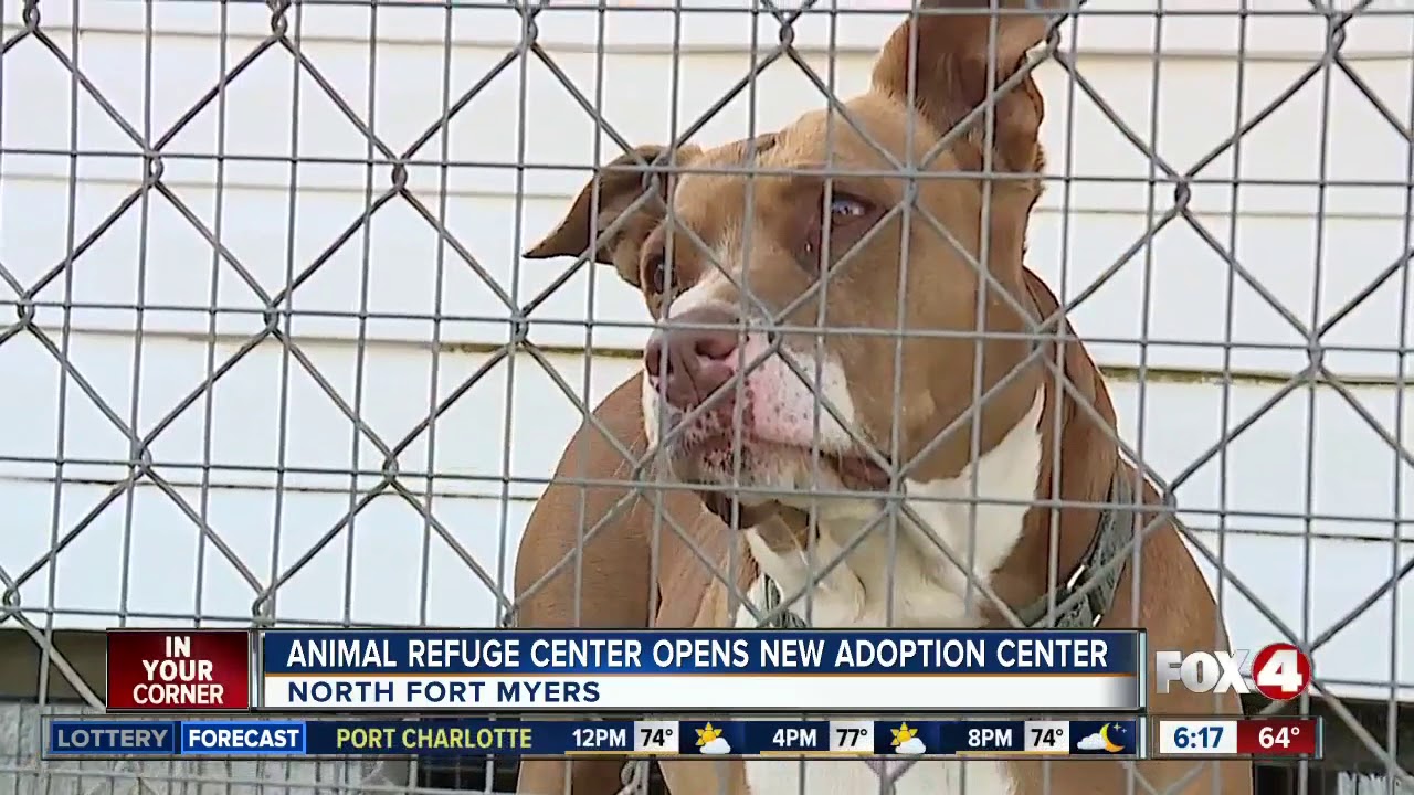 Animal refuge center opens new adoption center - YouTube