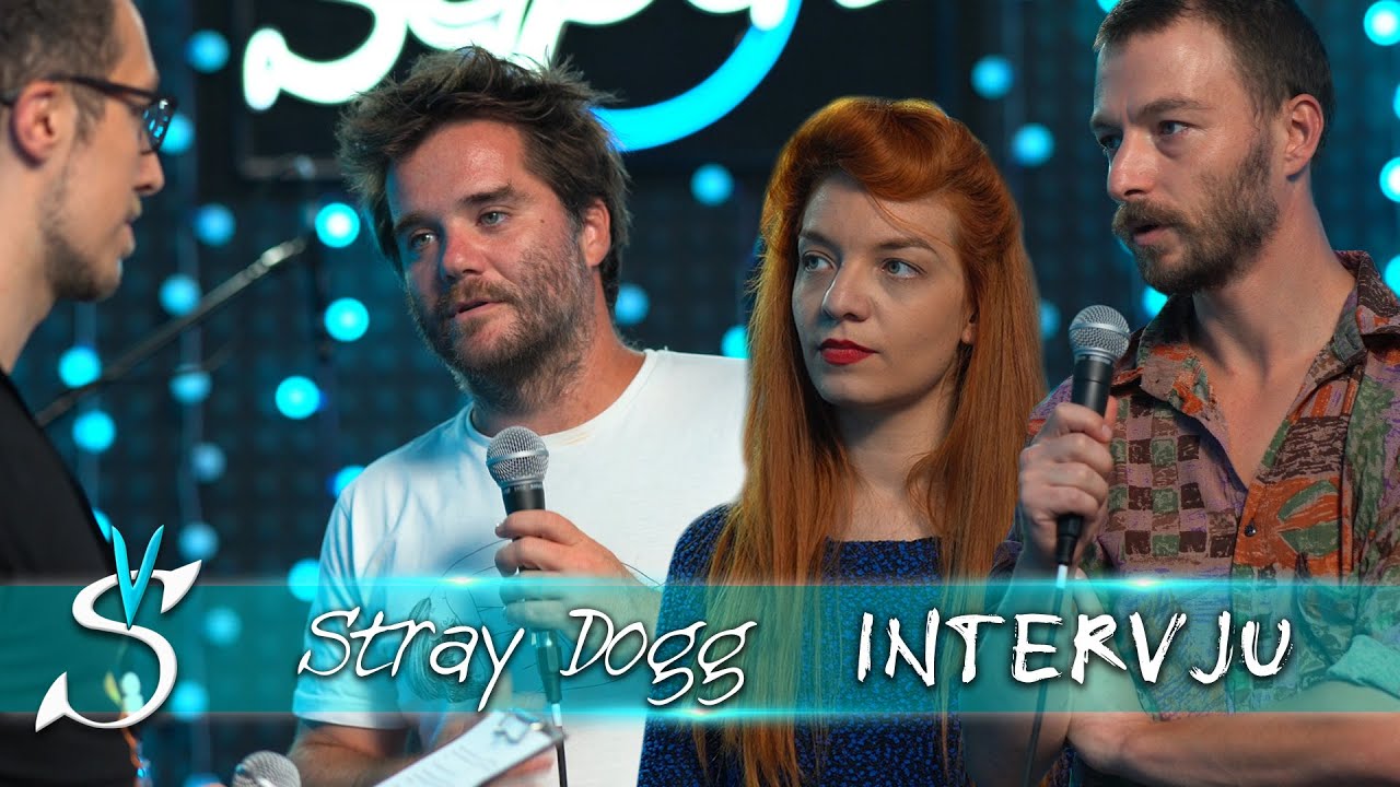 Stray Dogg - Intervju @ Šapat - YouTube