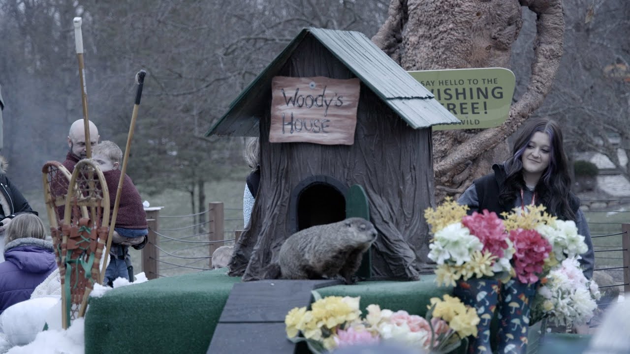 Michigan's official groundhog predicts more winter - YouTube