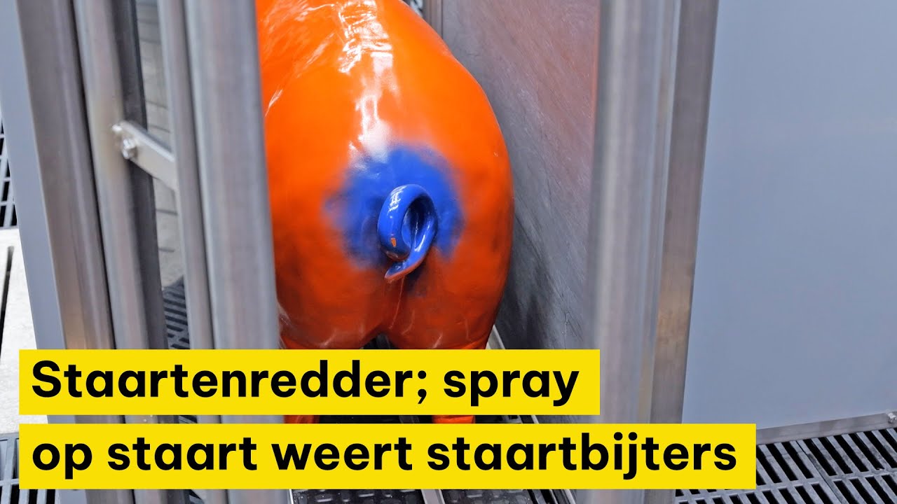 Spray op staart ontmoedigt staartbijten - YouTube