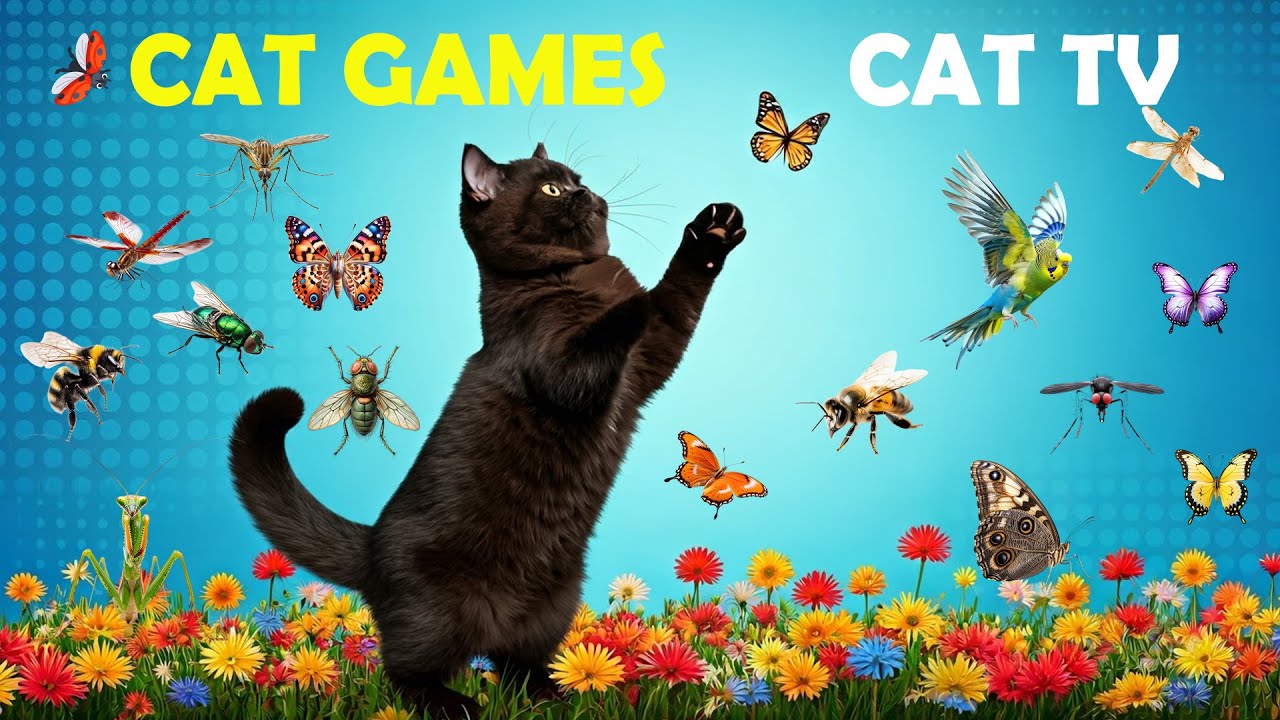 Ultimate Cat Games 🐱 Lively Bugs & Insects in Action! 🐾 Best Cat Game ...