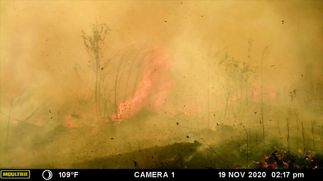 Site Preparation Burn for Tree Planting - Videos from my BURNED TRAIL ...