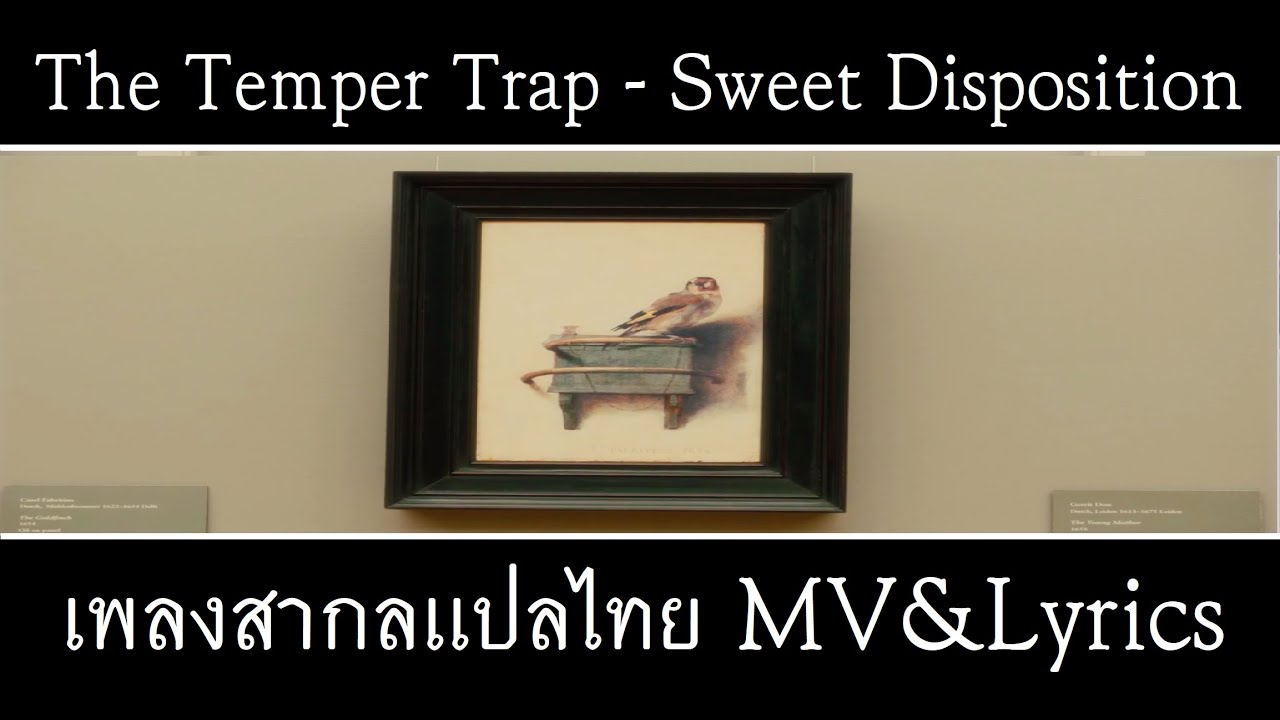 The Temper Trap - Sweet Disposition เพลงสากลเเปลไทย - YouTube