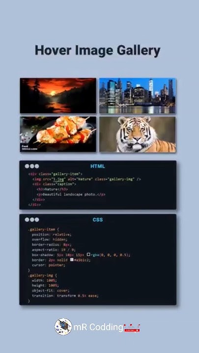 2025 Master 💫 Hover Image Gallery Using Css Htm#coding #css #mrcodding #shorts #shortfeed - YouTube