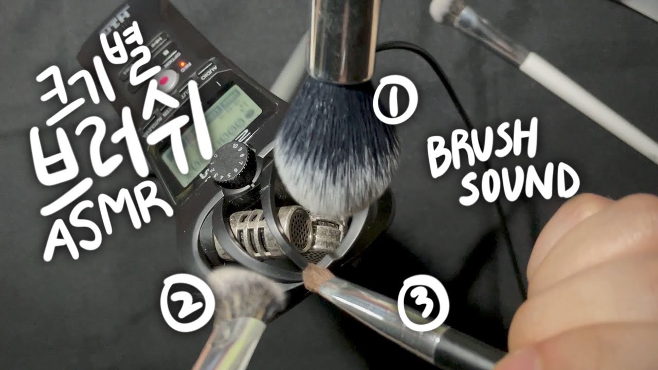 ASMR 부들부들 브러쉬 소리 모음 💨 Brush Sound | 브러쉬로 마이크 쓸기 Brush on Mic | 노토킹 No ...