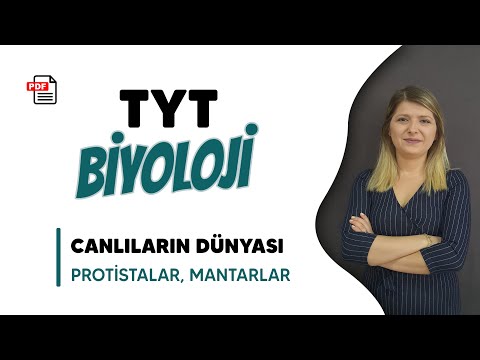 Protistalar, Mantarlar  - Derya CUR - TYT Biyoloji 2022