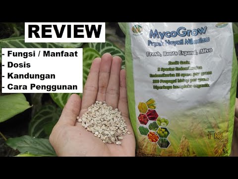 Review Pupuk MycoGrow | Pupuk Hayati Mikoriza | Fungsi / Manfaat, Dosis ...