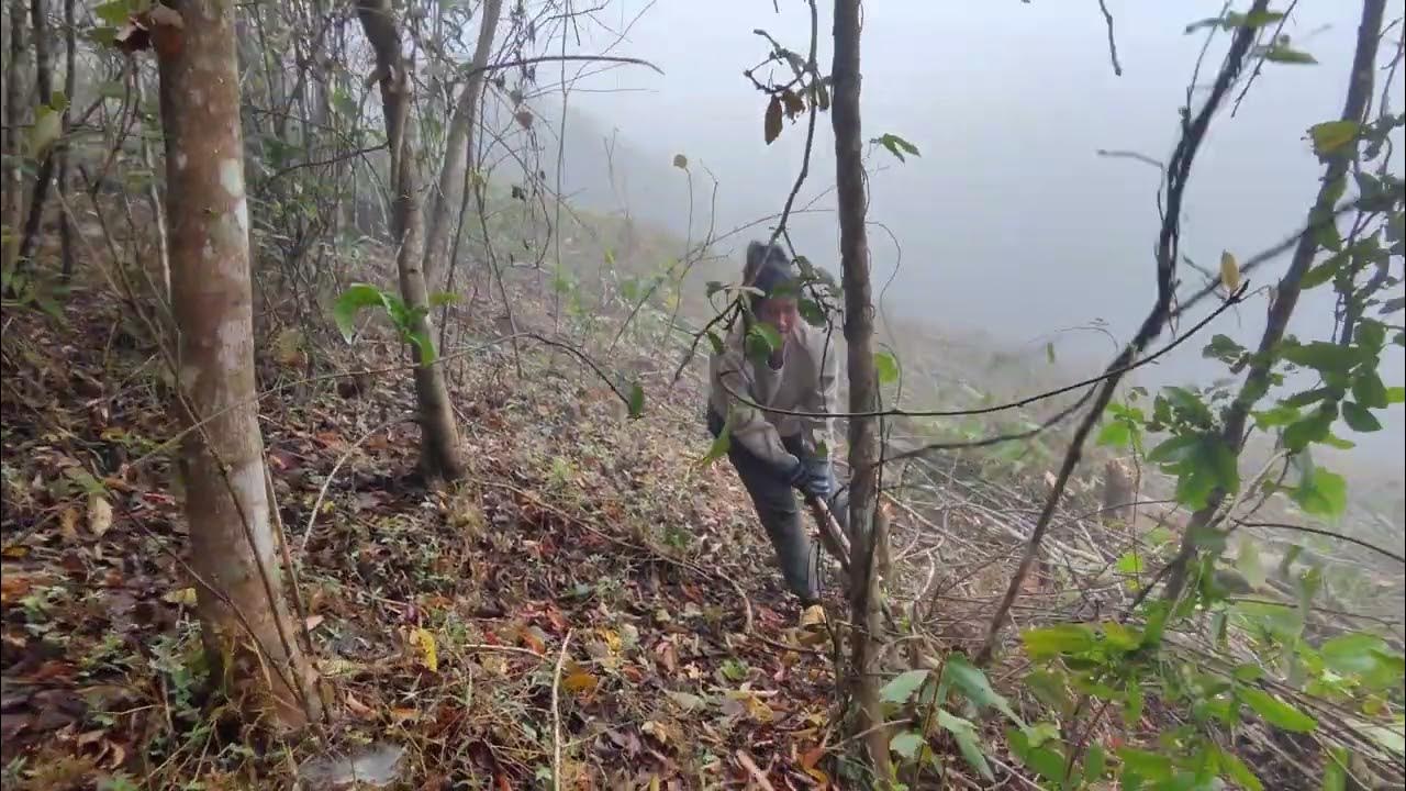 Mus nrog niam ntxawm nkawv luaj teb nawb sab kawg li o - YouTube