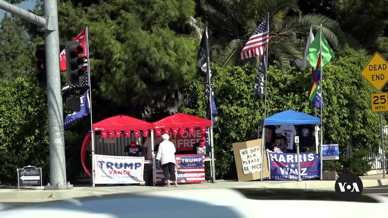 Trump and Harris merchandise sellers share space - YouTube