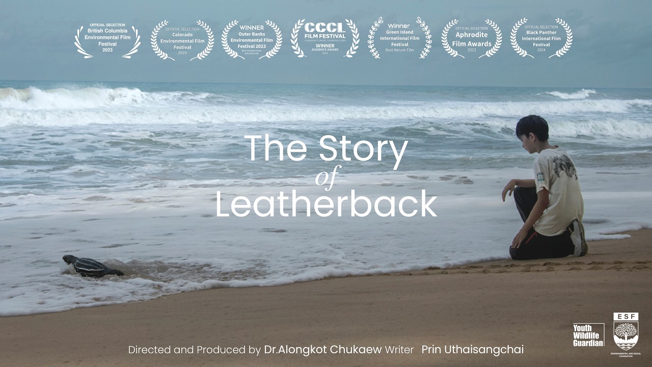 The Story of the Leatherback by Prin Uthaisangchai - YouTube