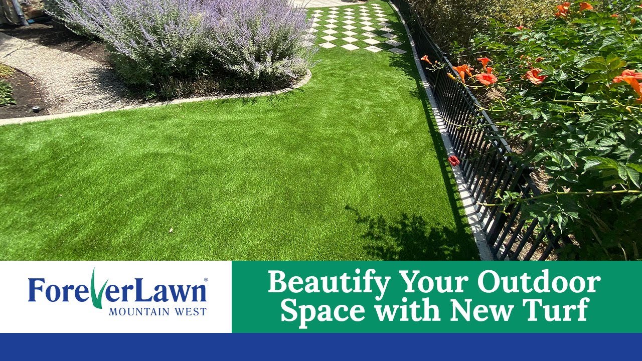 Enjoy a Green Lawn All Year with Turf Solutions from ForeverLawn ...