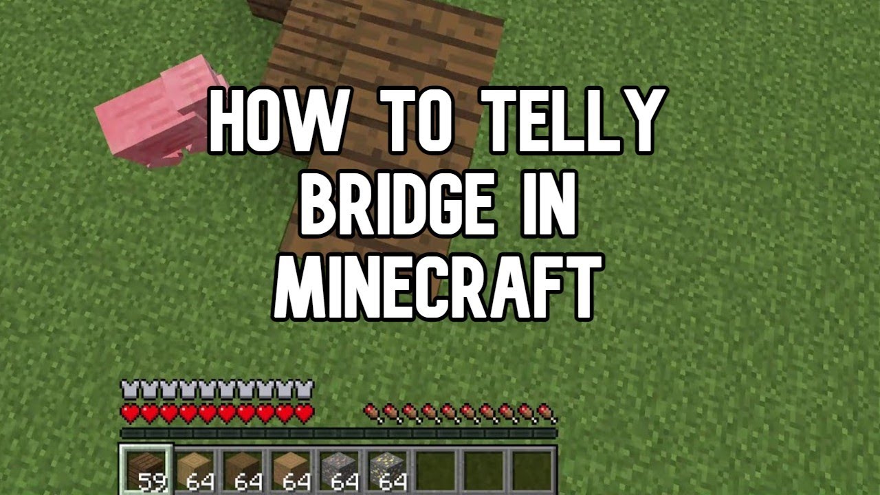 [Tutorial] How to Telly Bridge in Minecraft! - YouTube