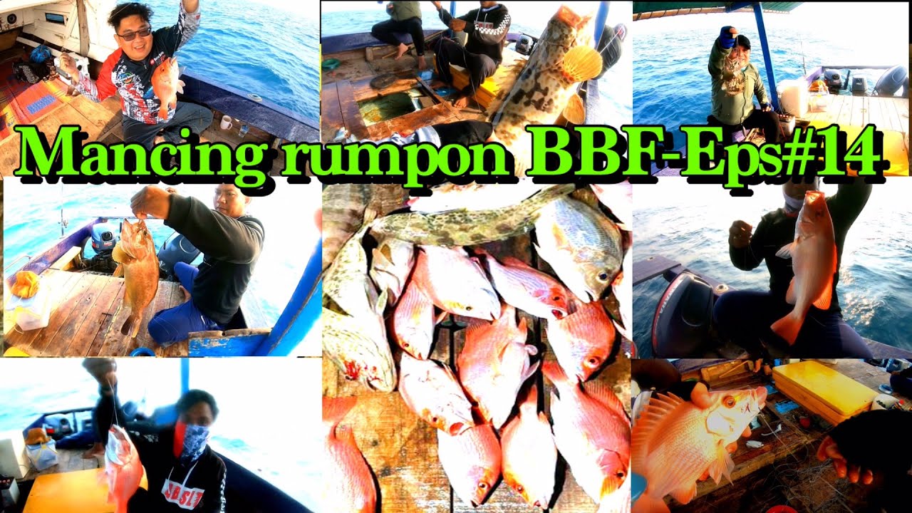 STRIKE KAKAP MERAH & KERAPU MACAN || RUMPON KAYU BAMBU USIA 8 BULAN ...