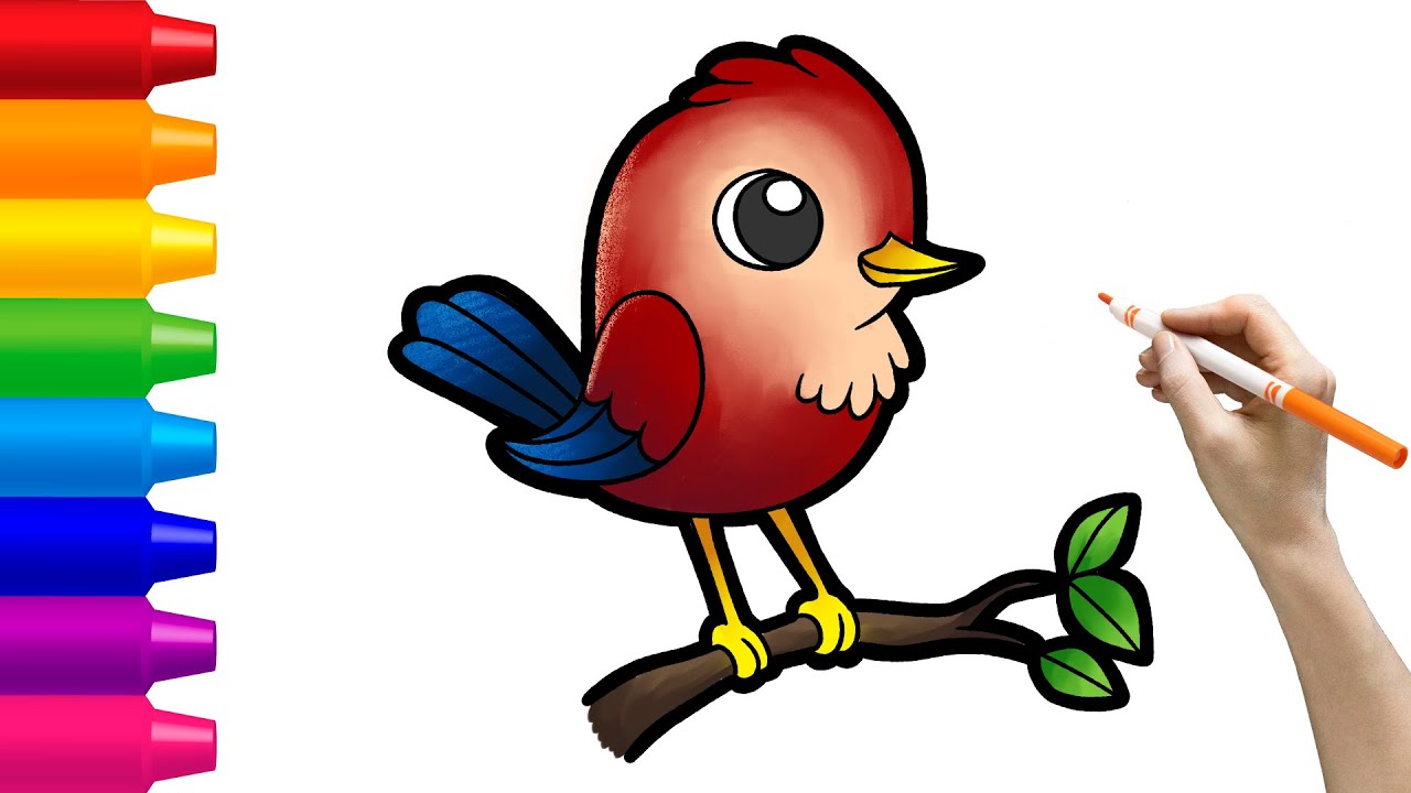 Menggambar dan Mewarnai Burung Kecil Lucu, Ide Menggambar Mudah Untuk ...