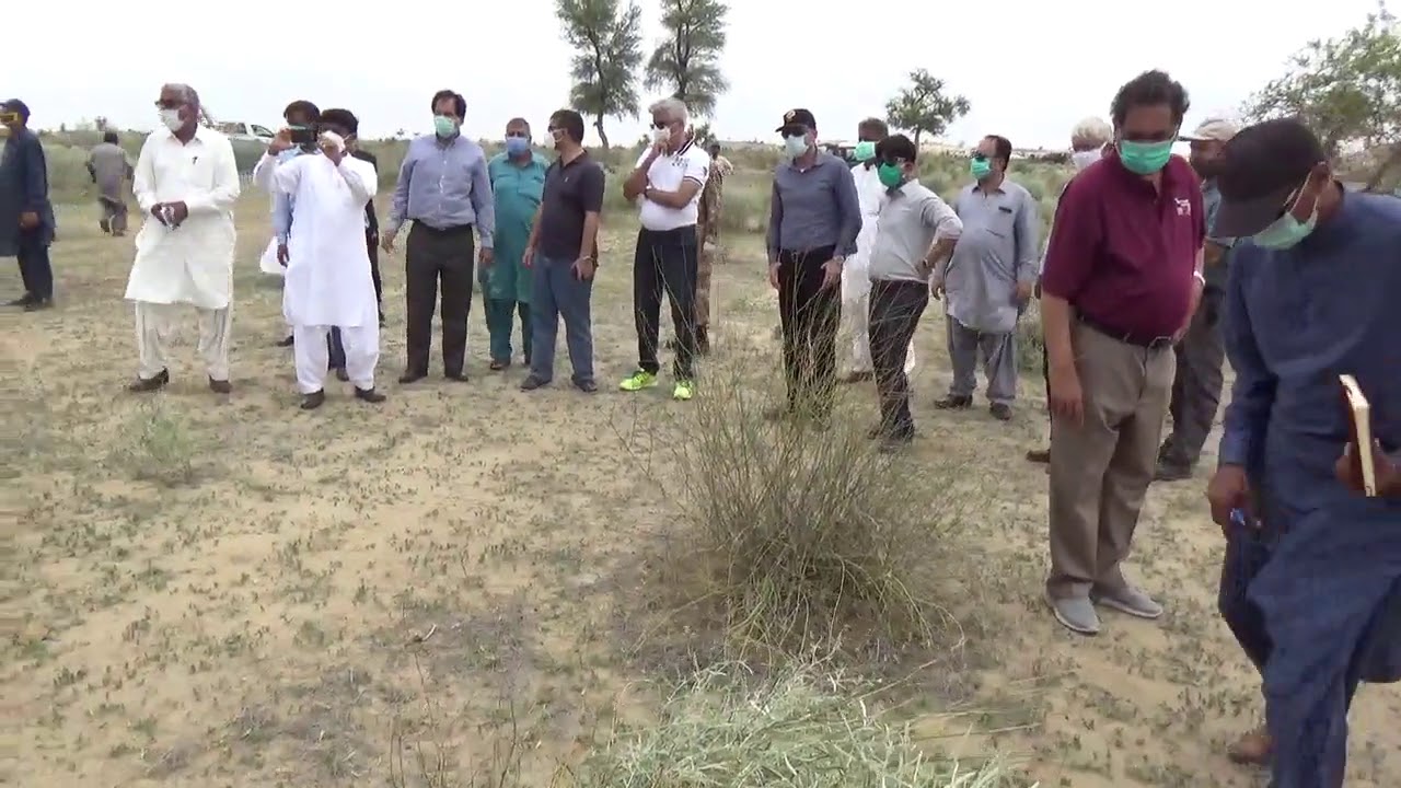 Department of Plant Protection - DPP - YouTube