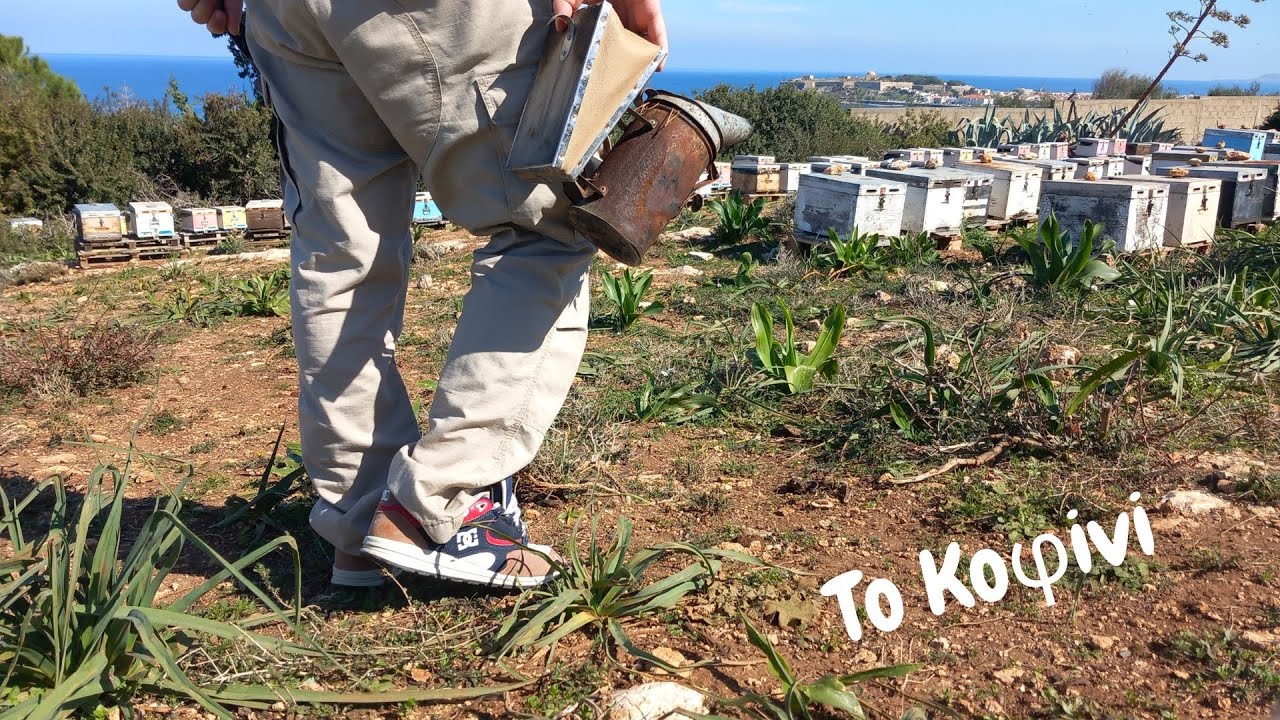 Επιθεώρηση μετά από 5 μήνες | Μελισσοκομία 2023 | Το ΚοΦινΙ - YouTube