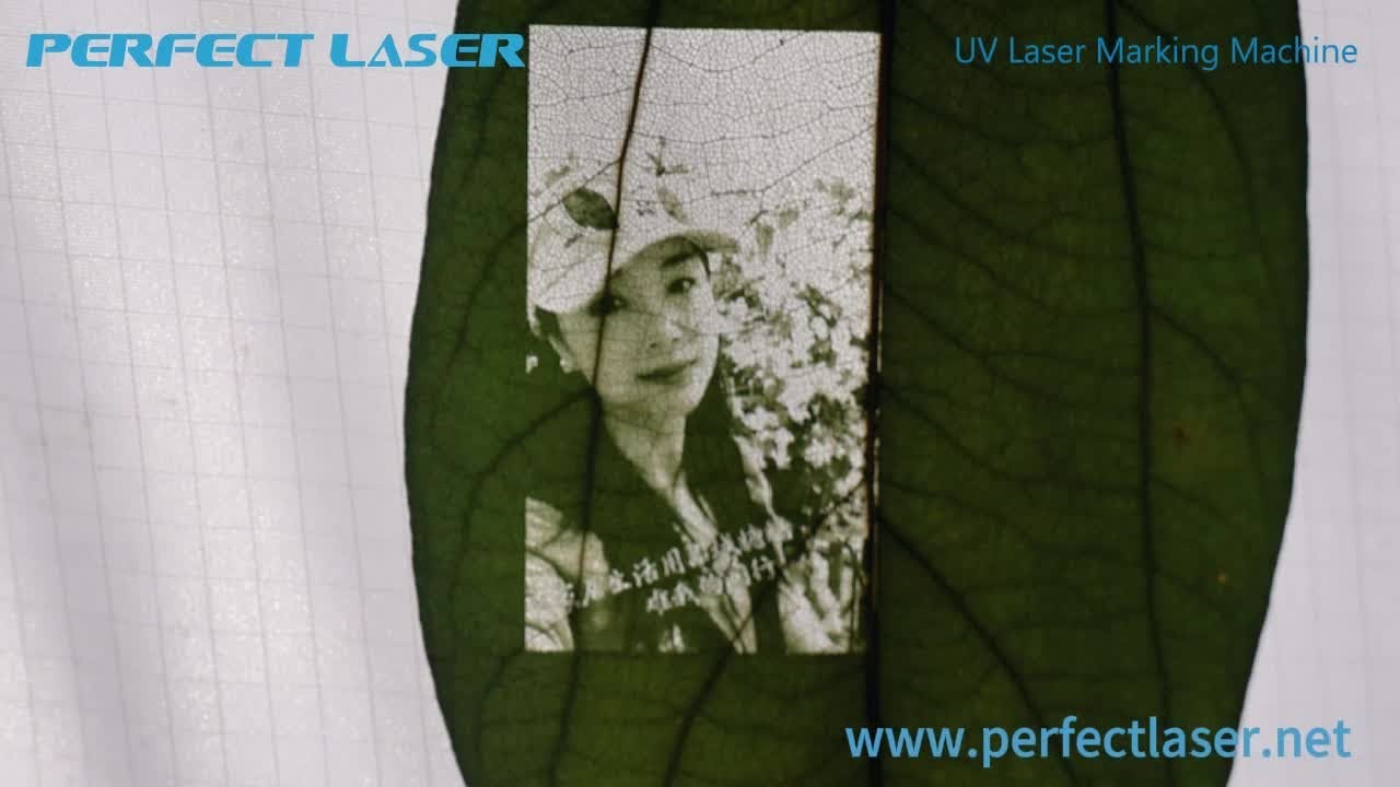 Perfect Laser Plastic LED scribing clocks watches glasses 5W 10W uv ...